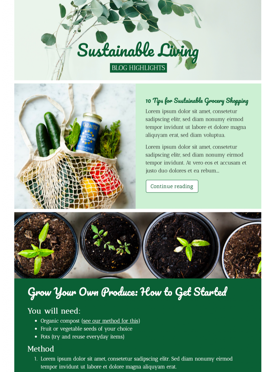 Sustainability Blog HTML Email Template Mail Designer Create And 